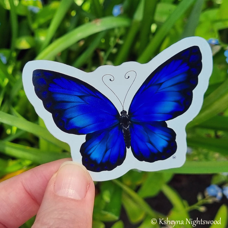 Blue Butterfly - Vinyl Sticker – Nightswood